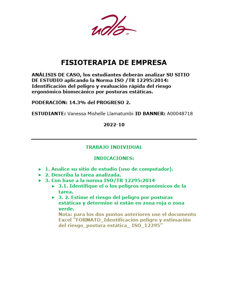 Formato Tarea Peligro y Riesgo ISO 12295 V-LL - Deber | PDF | Factores ...