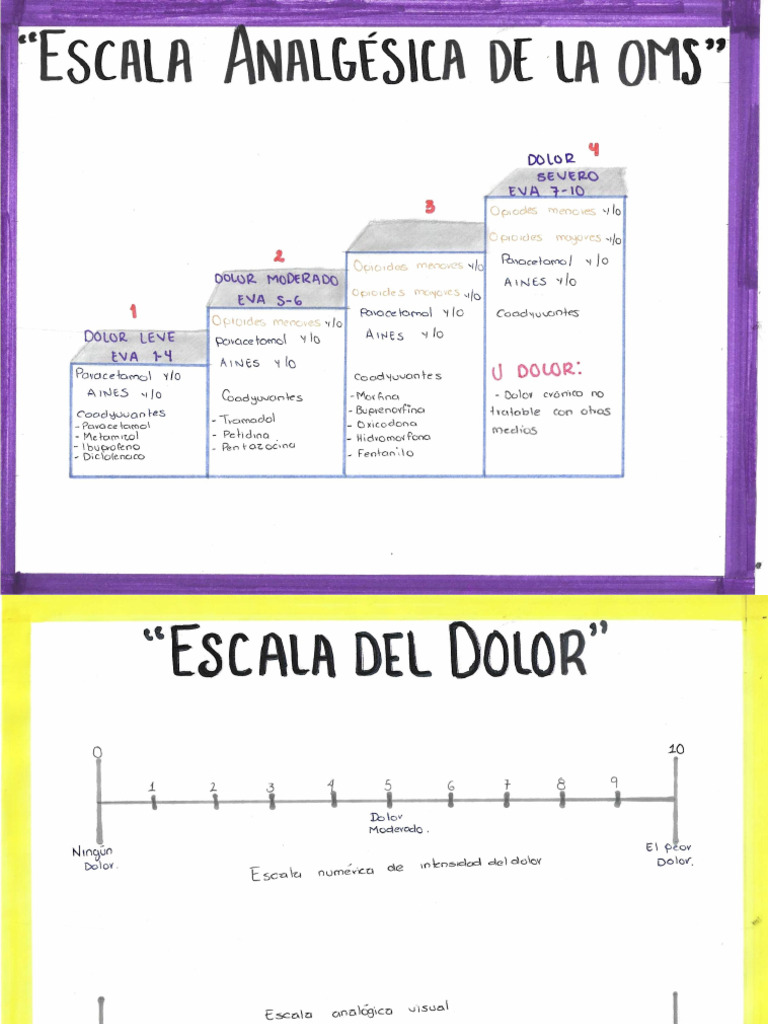 Escalas | PDF