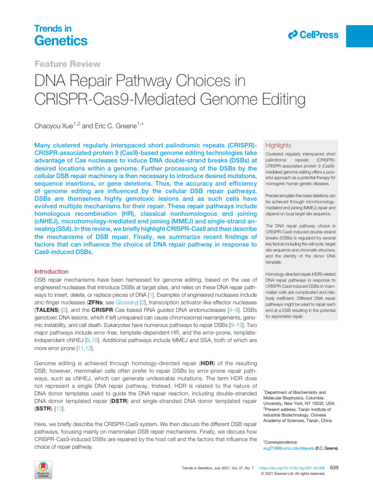 CRISPR Cas 9 DNA repair | PDF