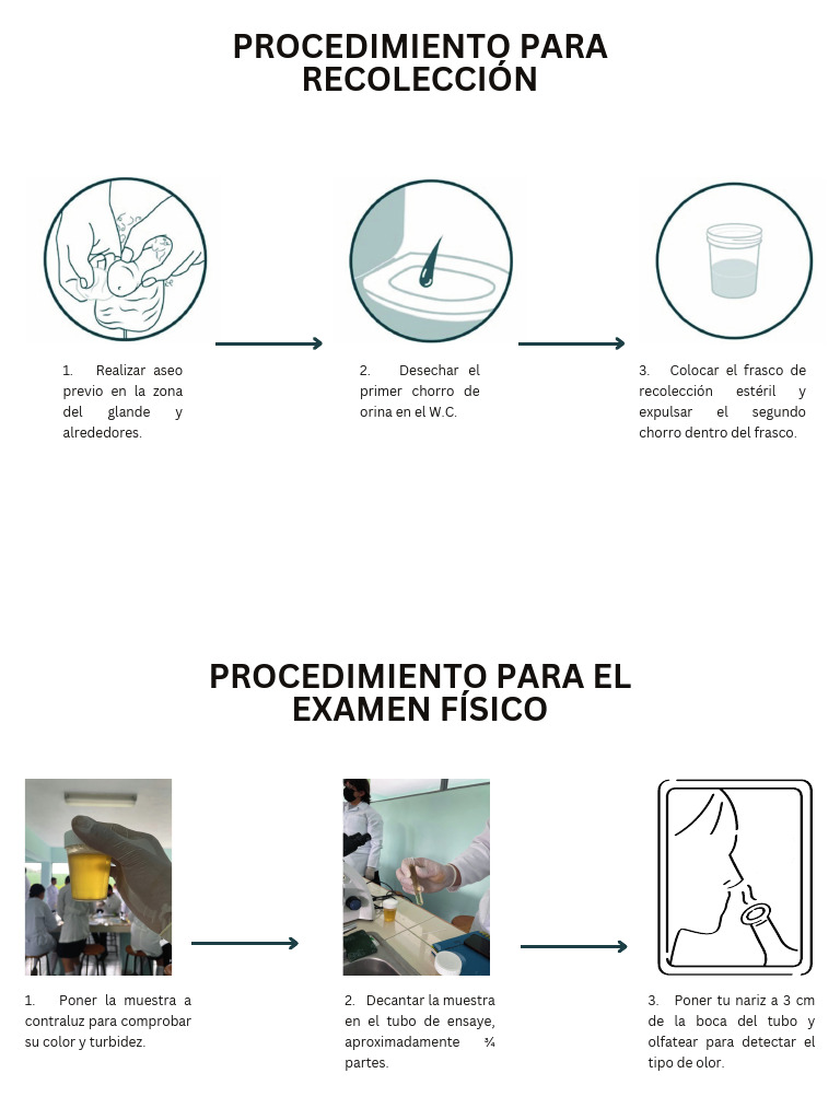 Blue Corporate Development Process Steps Graph | PDF
