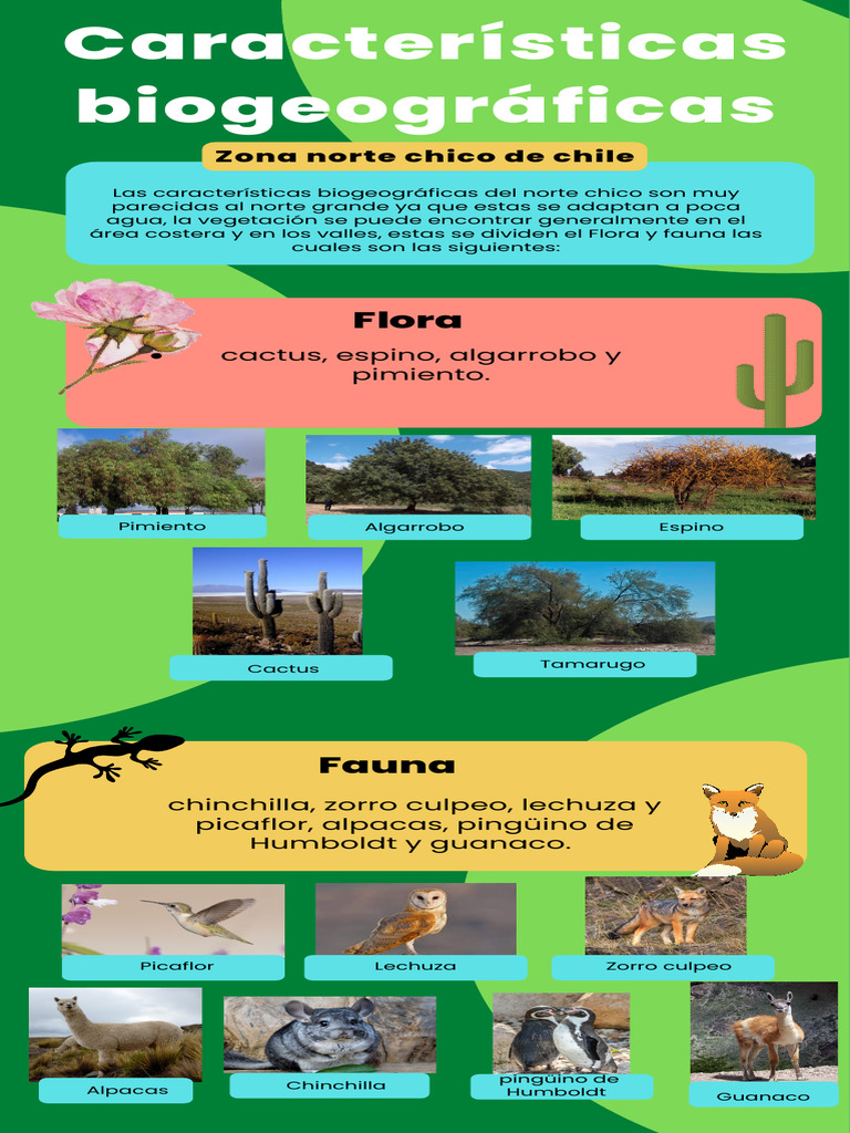 Flora y fauna del norte chico de Chile | PDF | Hogar, jardinería y ...
