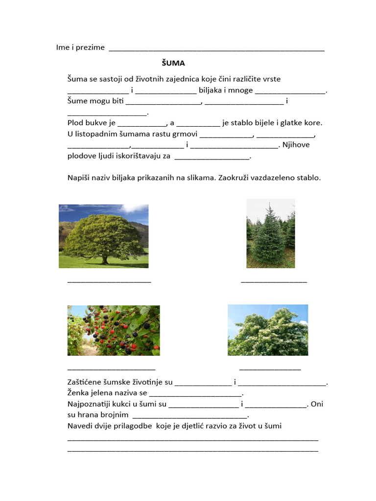 Iva Priroda - Iz | PDF