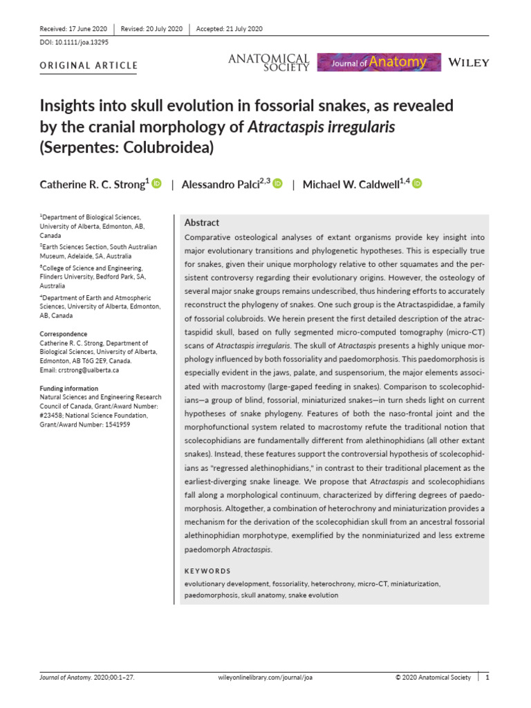 Strong Et Al 2020 - Insights Into Skull Evolution in Fossorial Snakes ...