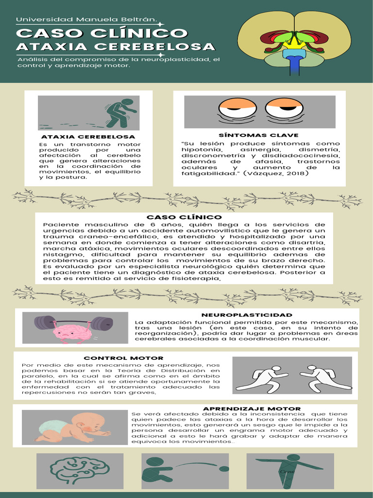 Infografia Ataxia Cerebelosa | PDF | Neurología | Enfermedades y trastornos