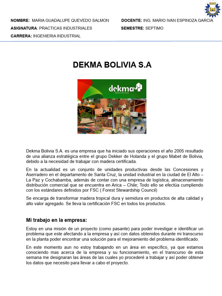 Diagrama de Procedimiento Dekma Bolivia S.A | Descargar gratis PDF ...