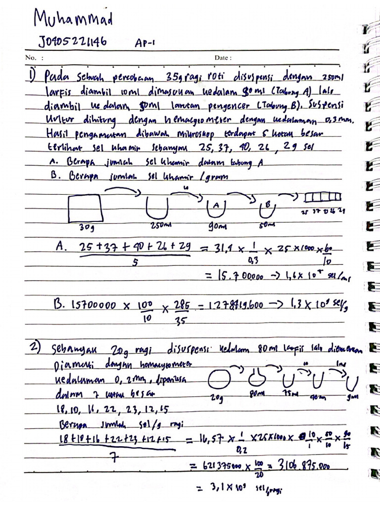 Muhammad_J0405221146_AP1_M2_Tugas Indivi | PDF