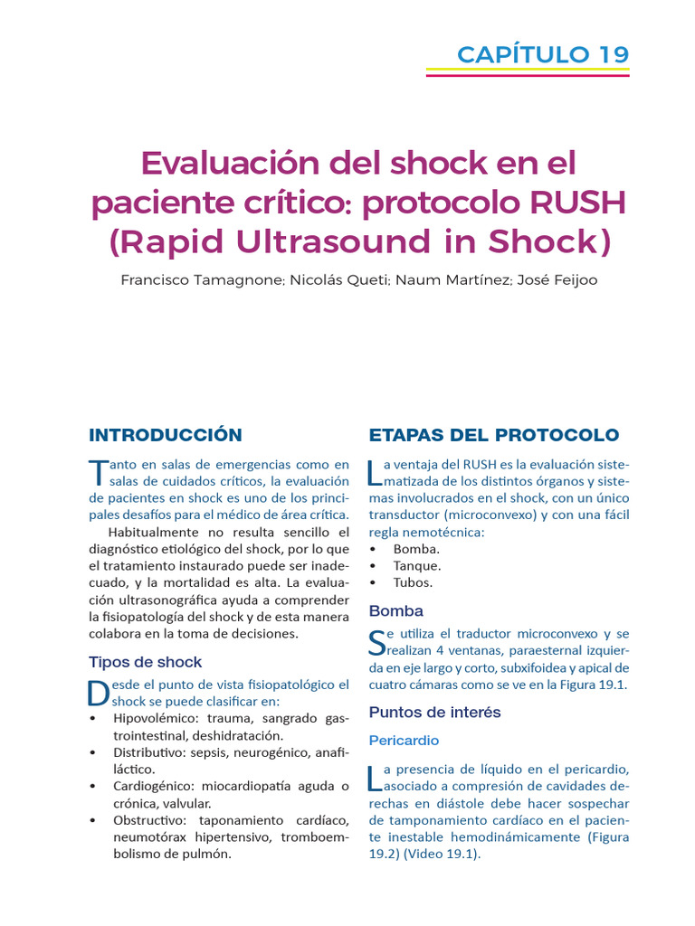 Protocolo RUSH para Evaluación de Shock | PDF | Vena | Fisiología