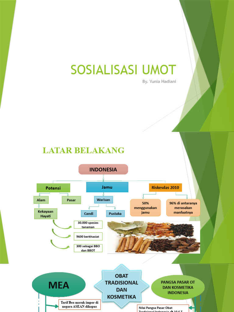 Sosialisasi UMOT 2024 | PDF