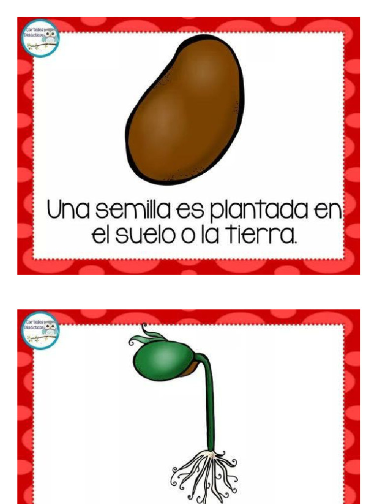 Ciclo de La Semilla | PDF