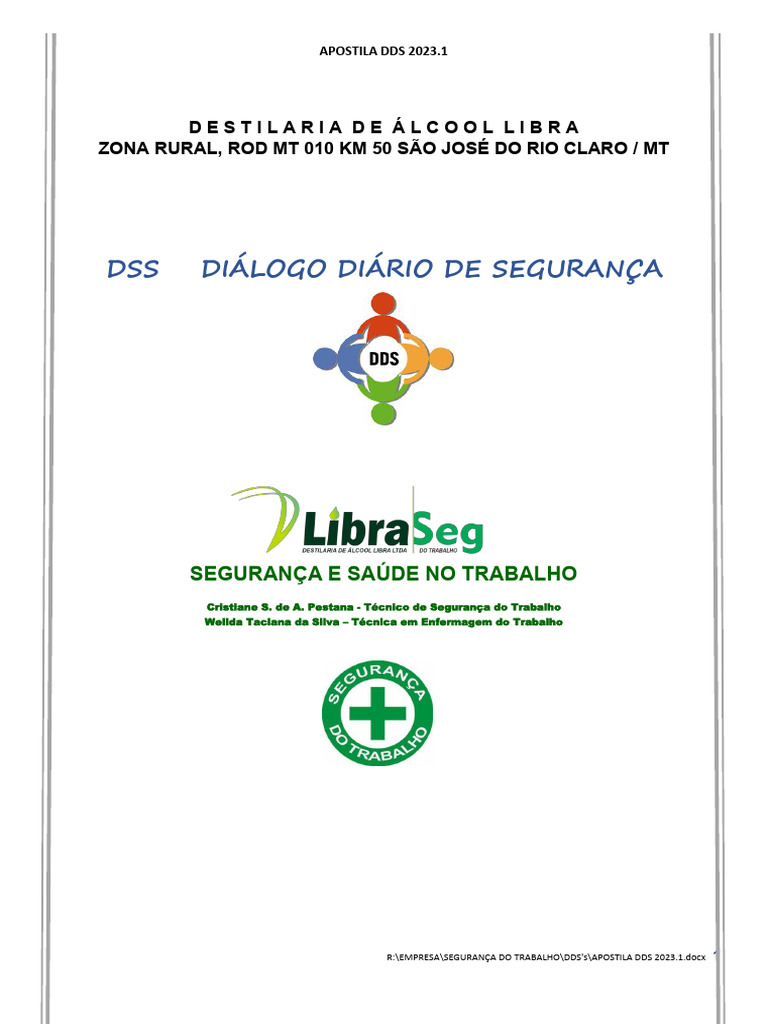 Apostila Dds 2023 | PDF