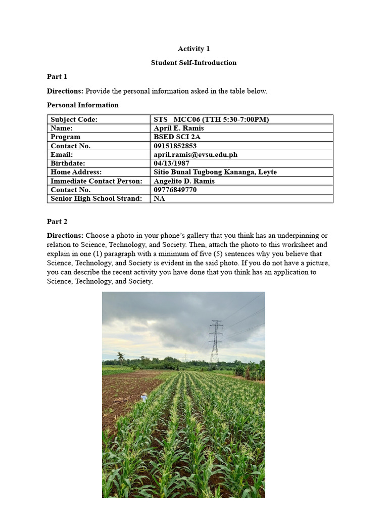 Ramis STS Assignment No 1 | PDF