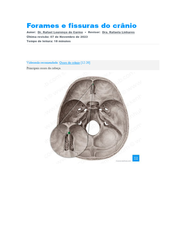 Forames e Fissuras Do Crânio | PDF | Olho humano | Crânio