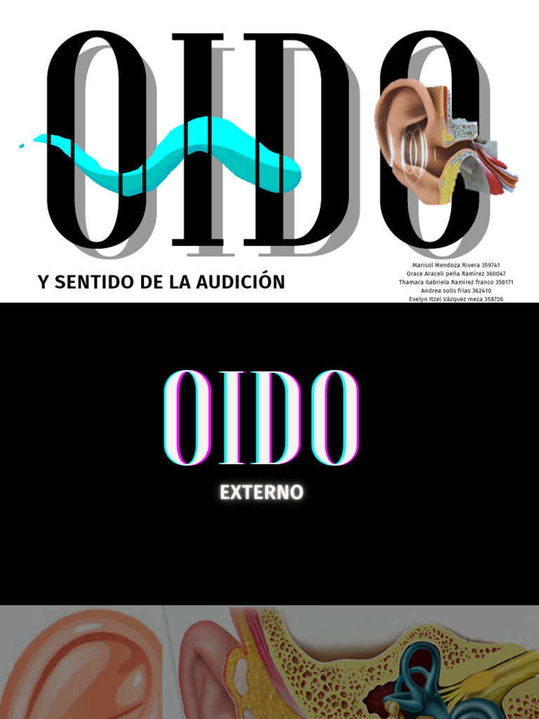 Oído y Sentido de La Audición | PDF | Tinnitus | Anatomía