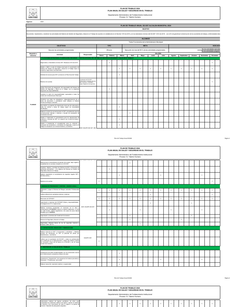Plan de Trabajo Salud y Seguridad en El Trabajo V1 | Descargar gratis PDF | Creación de capacidad
