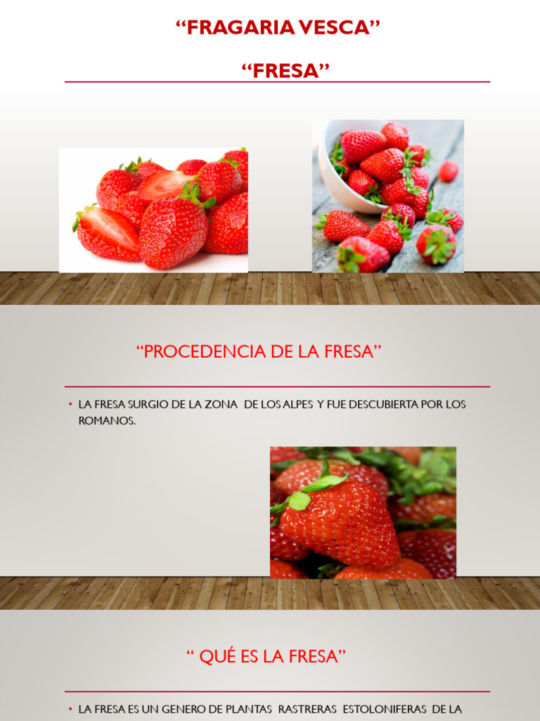 Características y Cultivo de la Fresa | PDF