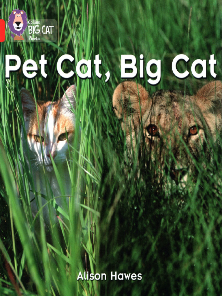 Pet Cat Big Cat | PDF