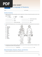 Anatomical Position Worksheet | PDF | Anatomical Terms Of Location ...