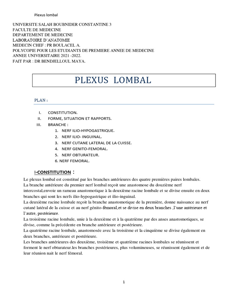 19.plexus Lombal | PDF