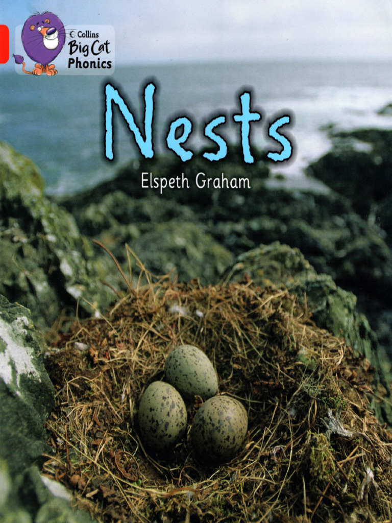 Nests | PDF