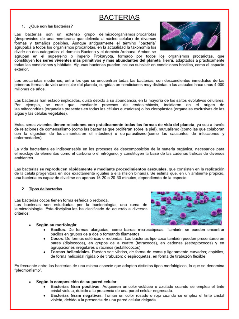 Guía Completa sobre Bacterias | PDF | Las bacterias | Biología Celular)