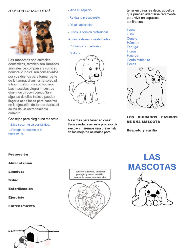 Tríptico sobre el cuidado de mascotas | PDF