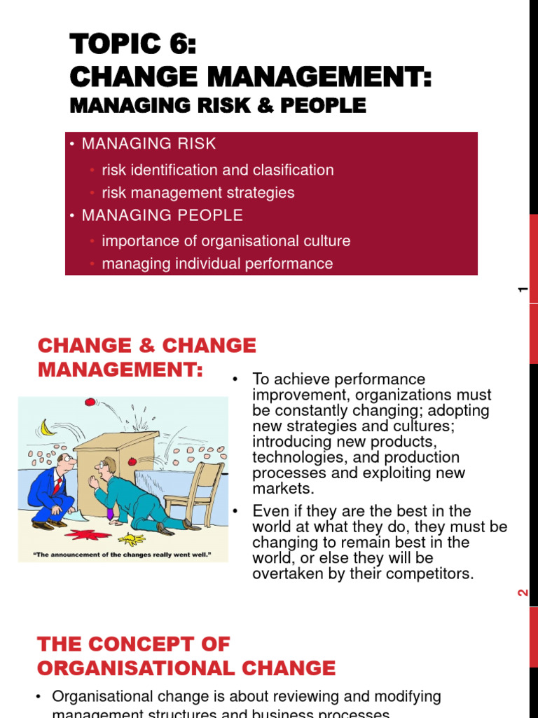 Change Management: Risk and People Strategies | PDF | Risk | Financial Risk