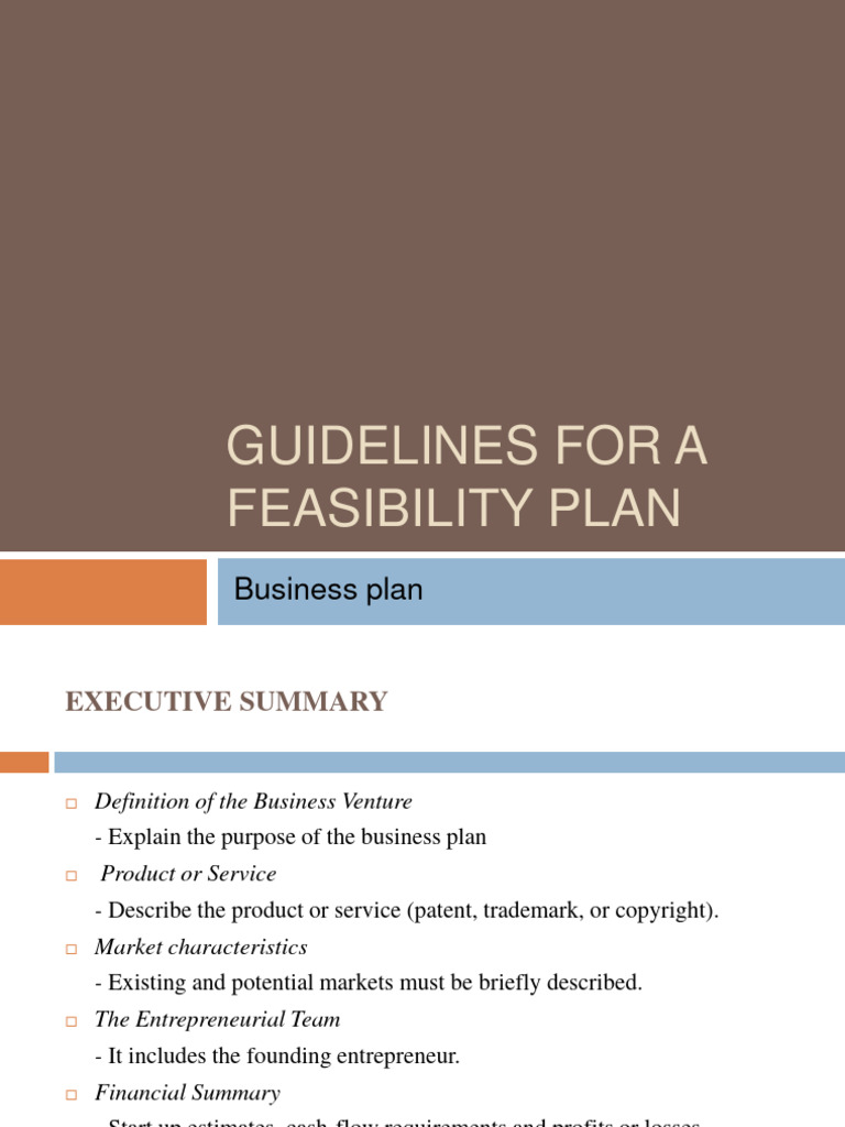 Chapter 6 Business Plan | PDF | Income Statement | Business
