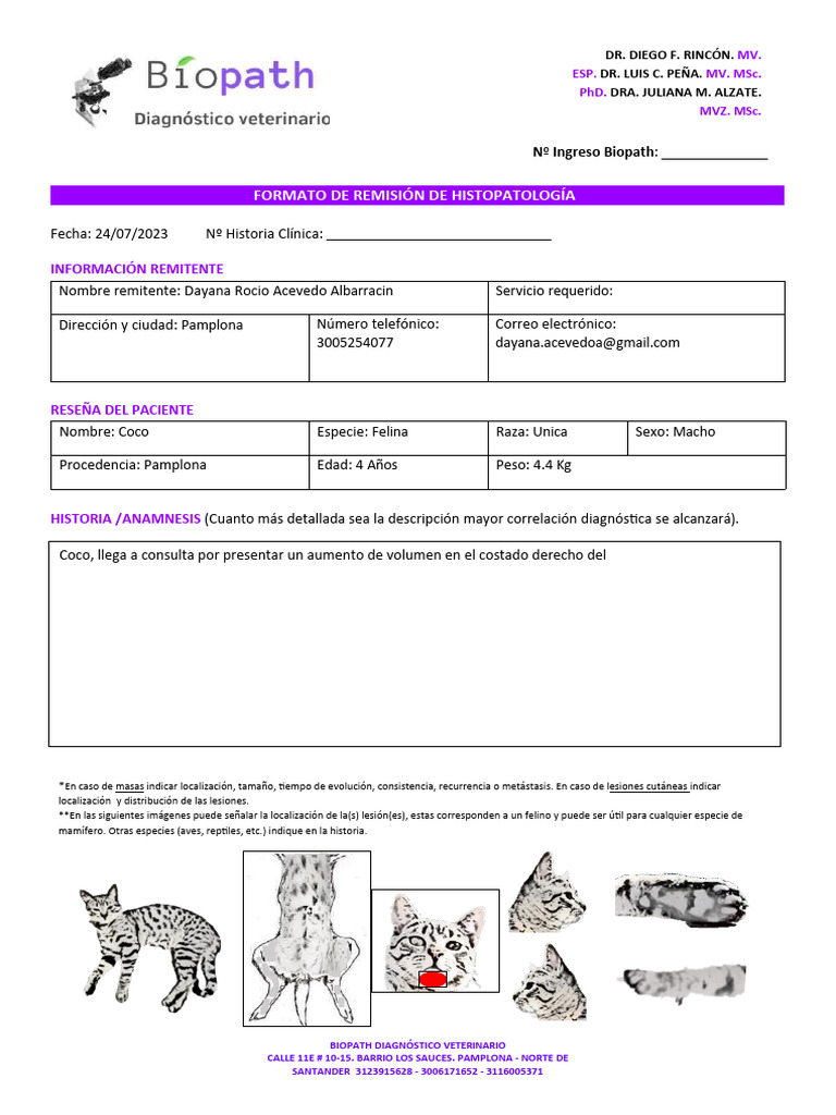 Formato Remisión Histopatología Biopath 24.07.2023 Editado | PDF