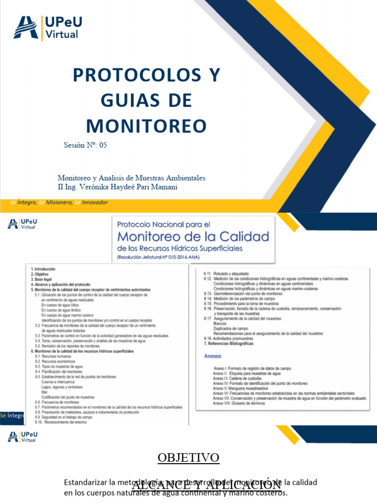 Sesion N°5 Protocolos y guias de monitoreo | PDF