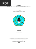 Contoh - RHA (Rapid Health Assesment) | PDF