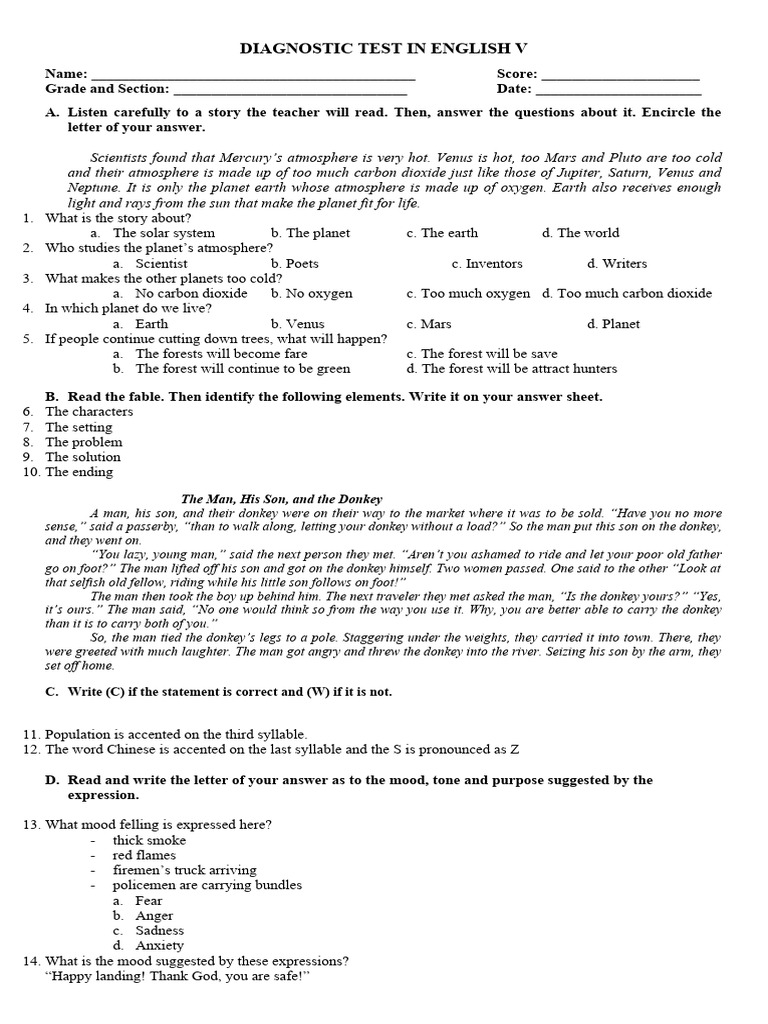 Diagnostic Test in English V | PDF