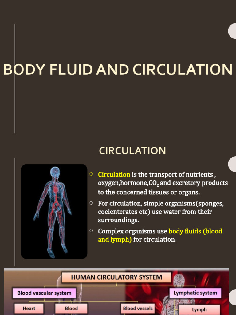 Circulatory System - Introduction | Download Free PDF | Circulatory ...