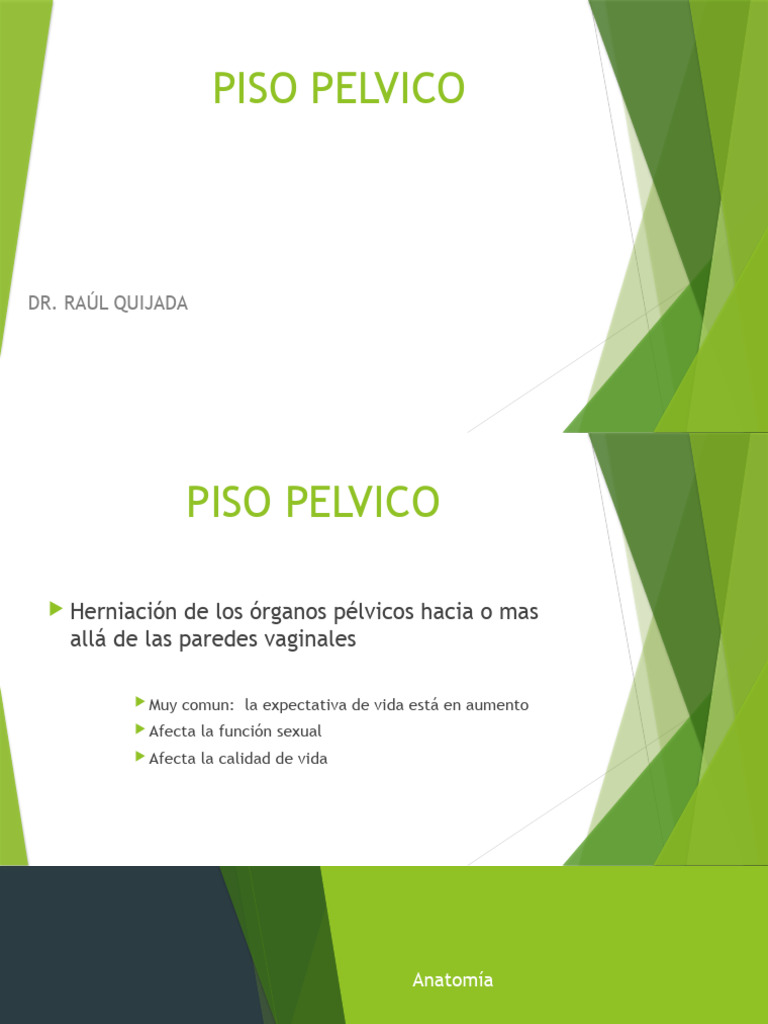 Pop 21 | PDF | Pelvis | Morfología (biología)
