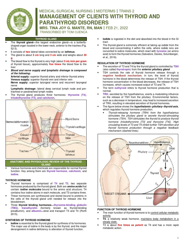 Thyroid and Parathyroid Disorders Overview | PDF | Hyperthyroidism | Hypothyroidism
