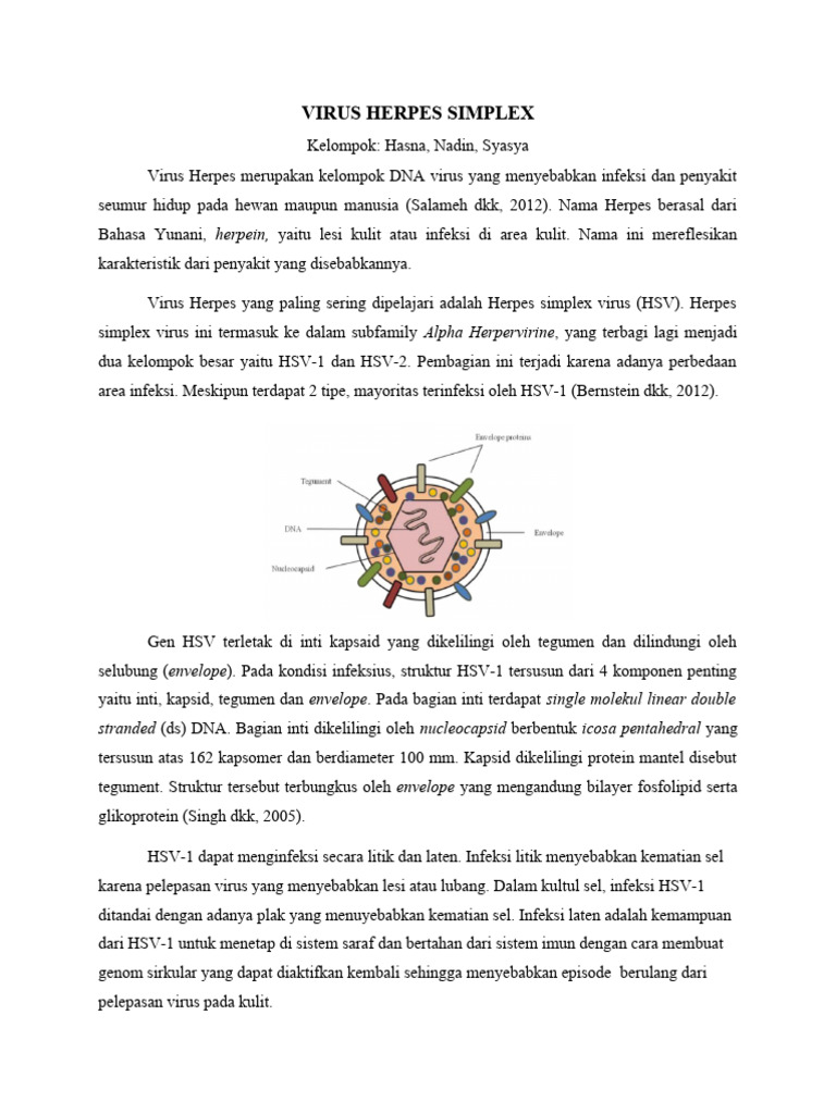 Punca Infeksi Virus Herpes Simplex | PDF | Pengembangan Diri ...