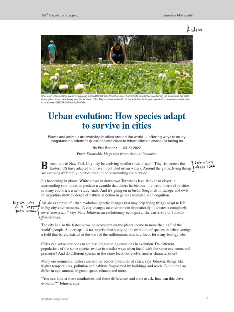 #1 - Urban Evolution | PDF