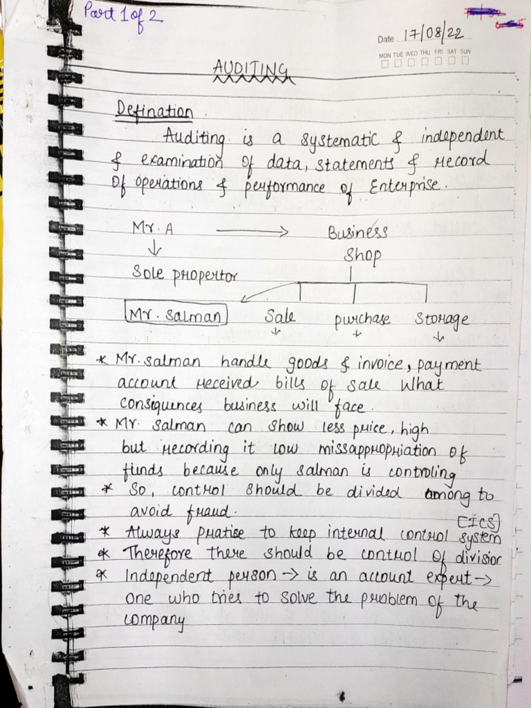 Audit Notes Part 1 A | PDF