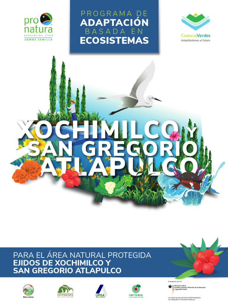 Xochimilco | PDF | Ciudad de México | Entorno natural