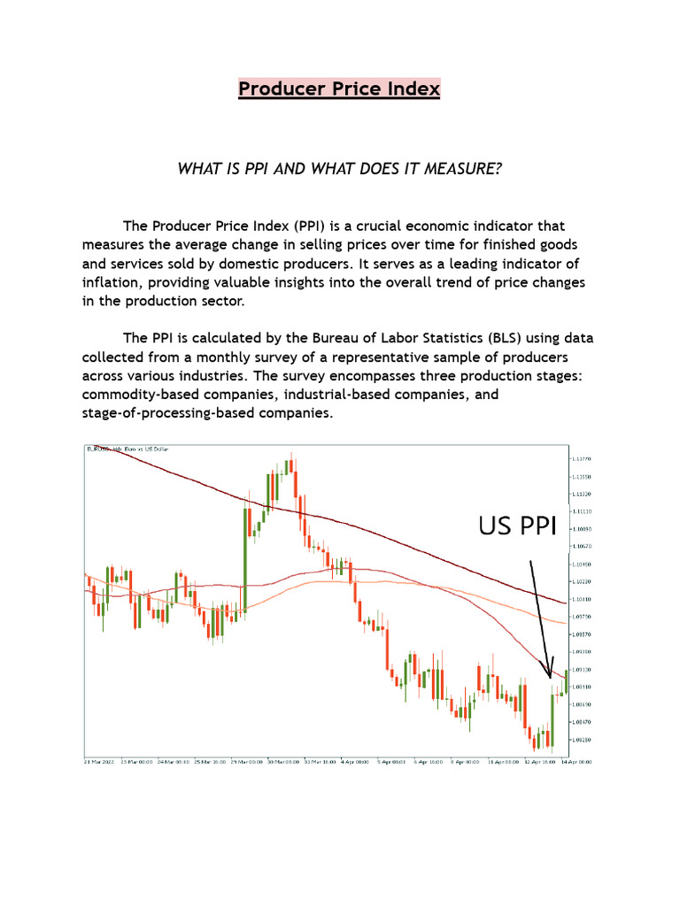 Producer Price Index: What Is Ppi and What Does It Measure? | PDF