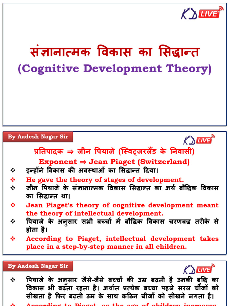 Cognitive Development Theory | PDF