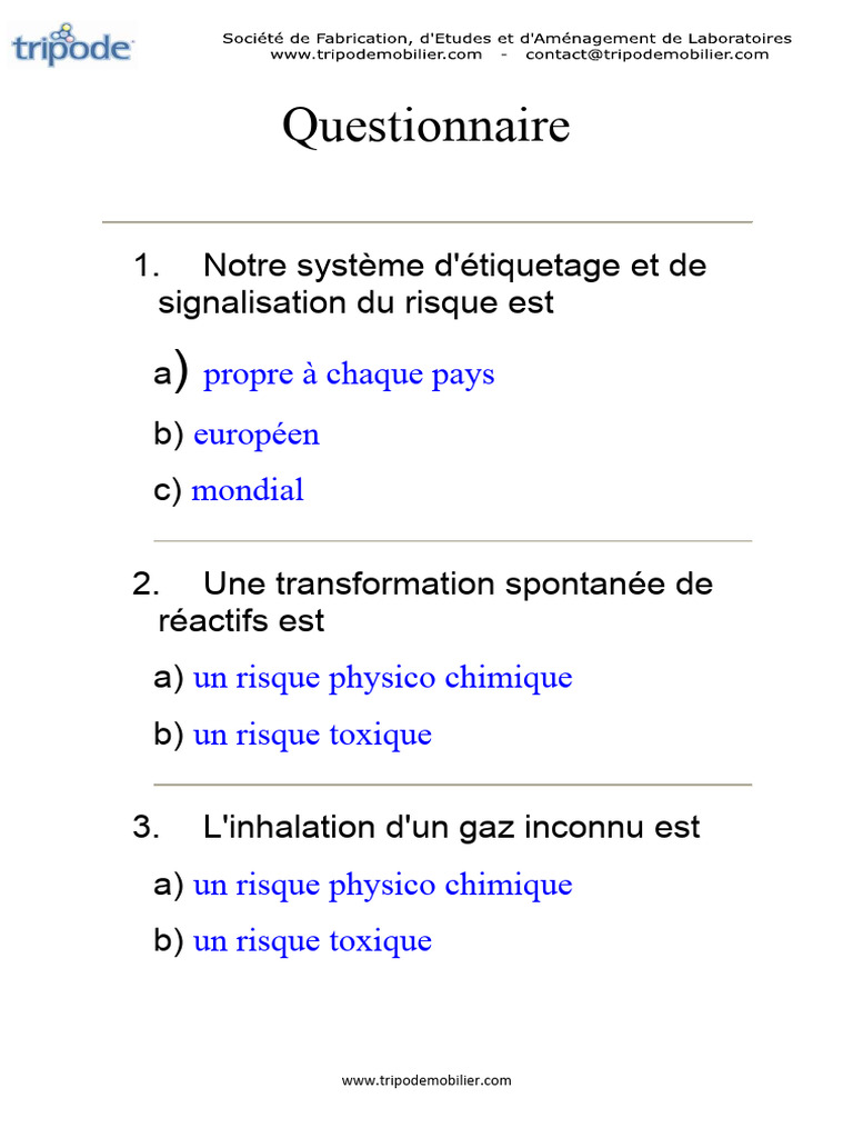 Questionnaire de Sécurité | PDF