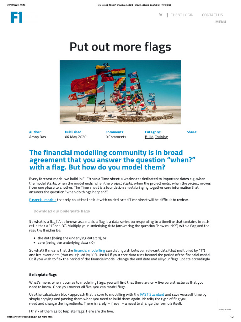 How to use flags in financial models _ Downloadable example _ F1F9 Blog ...