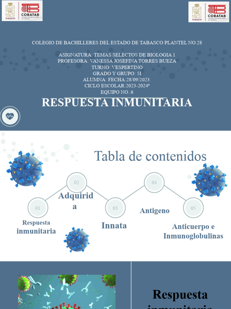 Respuesta Inmunitaria | PDF | Anticuerpo | Sistema inmune