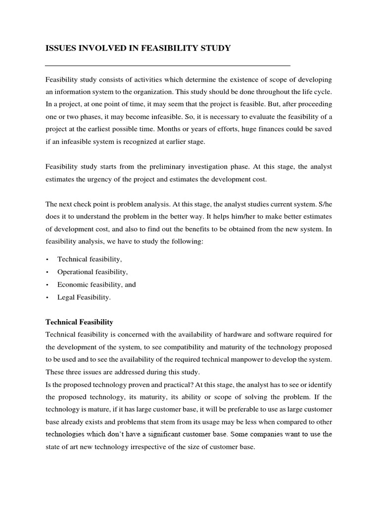 Feasibility Study | PDF