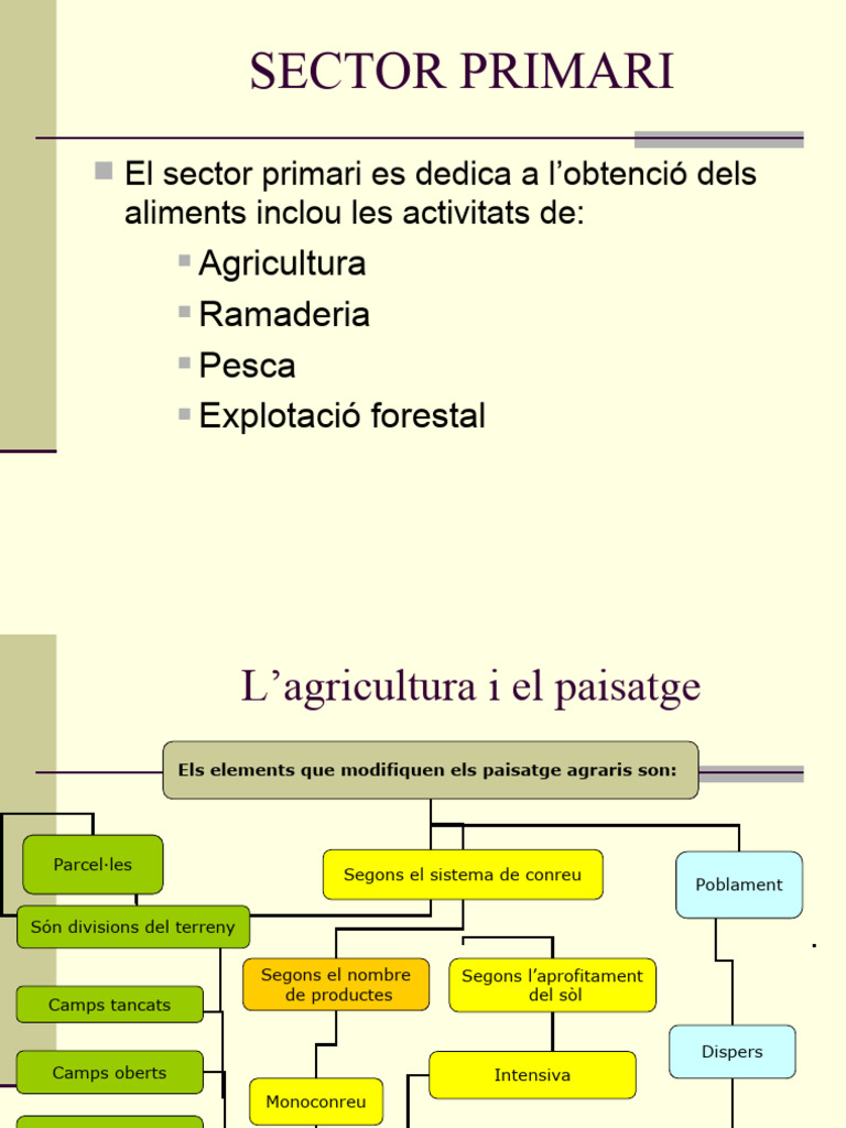 Sector Primari | PDF
