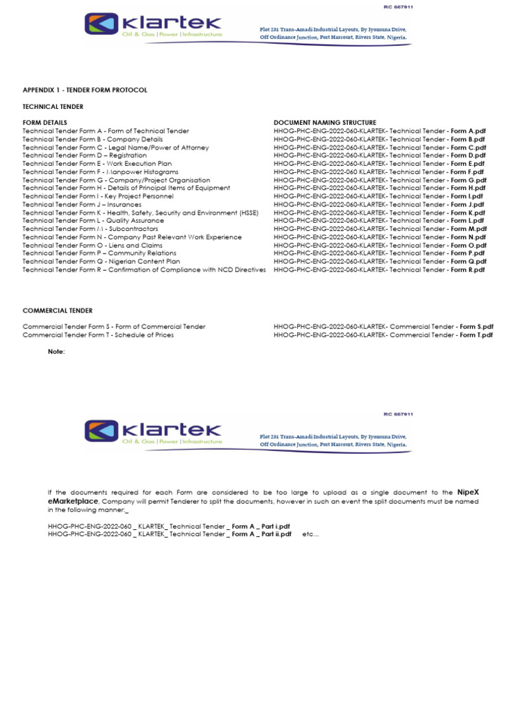 Technical Tender Submission Guidelines | PDF | Business | Computers