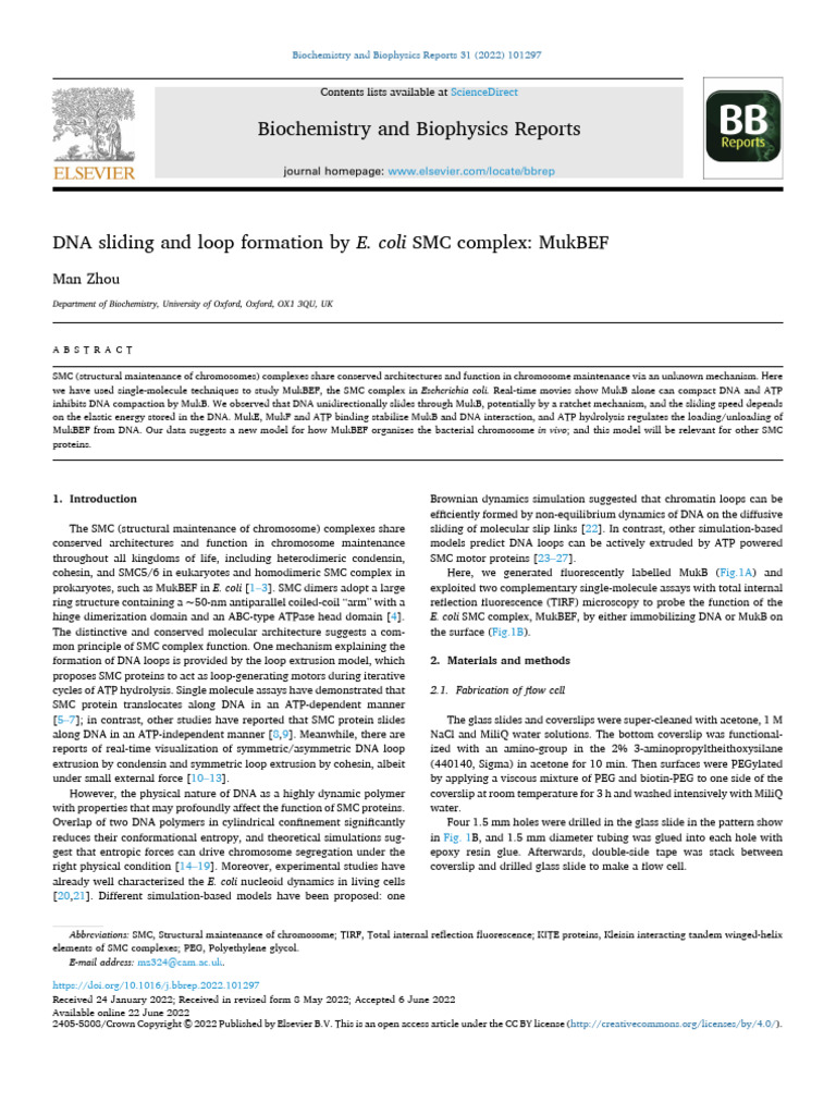 DNA Sliding and Loop Formation by E. Coli SMC Complex MukBEF | PDF ...