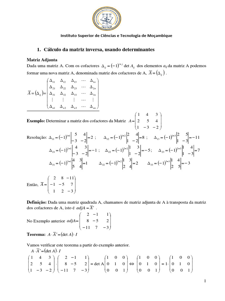 Matriz inversa | PDF | Matriz (Matemática) | Teoria da Matrix