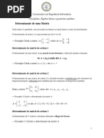 Matriz Adjunta | PDF | Matriz (Matemática) | Determinante