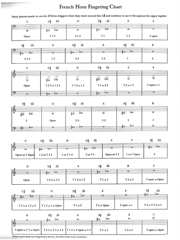 French Horn Fingering and Scales | PDF